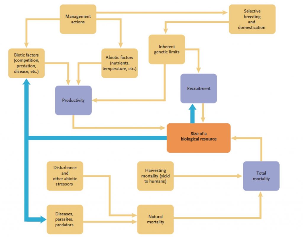 Chapter 12 ~ Resources and Sustainable Development – Environmental Science
