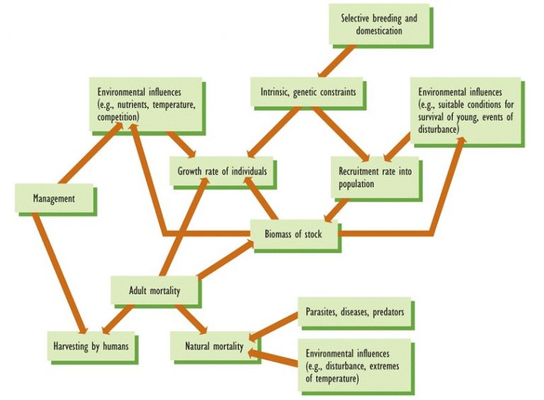 Chapter 13 ~ Non-Renewable Resources – Environmental Science