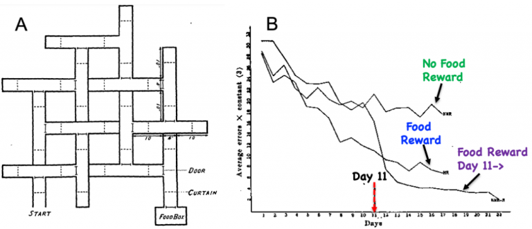 Spatial Memory – Introduction to Psychology & Neuroscience